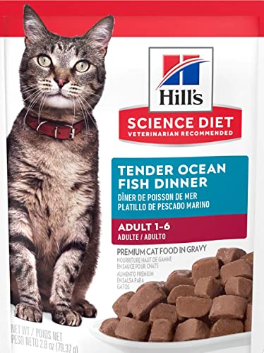 Shadowlish Hill's Science Diet Adult Cat Food Bundle with a Reusable Container of Catnip (Tender Ocean Fish Dinner)