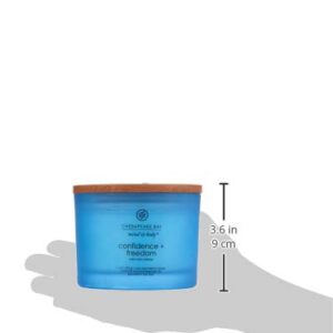 Chesapeake Bay Candle Scented Candle, Confidence + Freedom (Oak Moss Amber), 3-Wick Coffee Table Jar, Blue