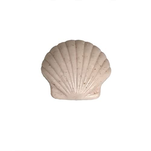 Greenwich Bay - 4.3 oz. Seashell Scented Shea Butter Soap - Sugar Soleil