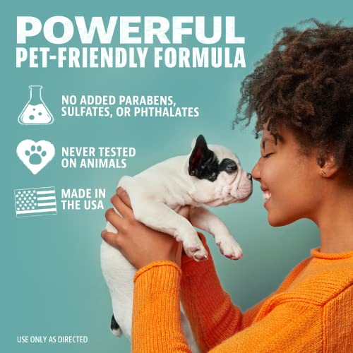 Angry Orange Pet Odor Eliminator for Home - 8oz Dog and Cat Pee Smell Remover for Carpet, Grass, Tile and Furniture - Citrus Concentrate, Makes 128oz of Liquid