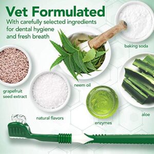 Vet’s Best Dog Toothbrush and Enzymatic Toothpaste Set | Teeth Cleaning and Fresh Breath Kit with Dental Care Guide | Vet Formulated