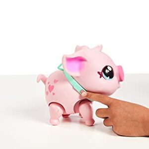 Little Live Pets - My Pet Pig: Piggly | Soft and Jiggly Interactive Toy Pig That Walks, Dances and Nuzzles. 20+ Sounds & Reactions. Batteries Included. for Kids Ages 4+