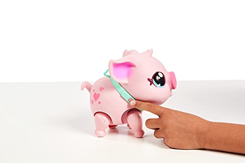 Little Live Pets - My Pet Pig: Piggly | Soft and Jiggly Interactive Toy Pig That Walks, Dances and Nuzzles. 20+ Sounds & Reactions. Batteries Included. for Kids Ages 4+