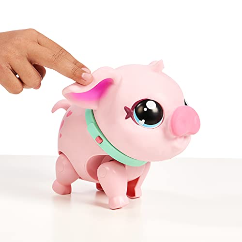 Little Live Pets - My Pet Pig: Piggly | Soft and Jiggly Interactive Toy Pig That Walks, Dances and Nuzzles. 20+ Sounds & Reactions. Batteries Included. for Kids Ages 4+