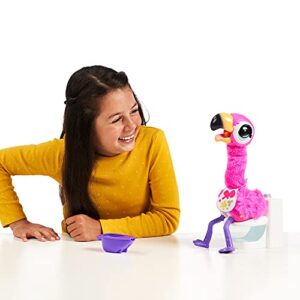 Little Live Pets Gotta Go Flamingo Value Pack: Sherbet | Interactive Plush Toy That Eats, Sings, Dances, Poops and Talks. Bonus Food, Containers and Bib. Batteries Included. for Kids Ages 4+.