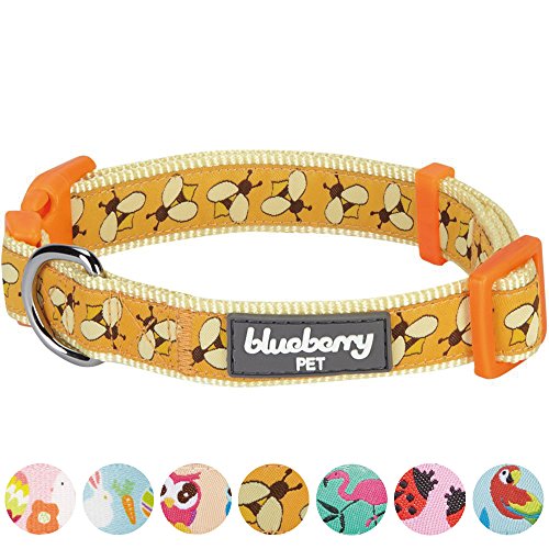 Blueberry Pet Essentials 10 Patterns Statement Busy Bees Designer Adjustable Dog Collar, Medium, Neck 14.5"-20"