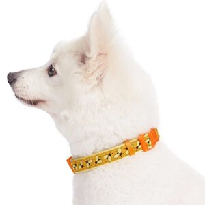 Blueberry Pet Essentials 10 Patterns Statement Busy Bees Designer Adjustable Dog Collar, Medium, Neck 14.5"-20"