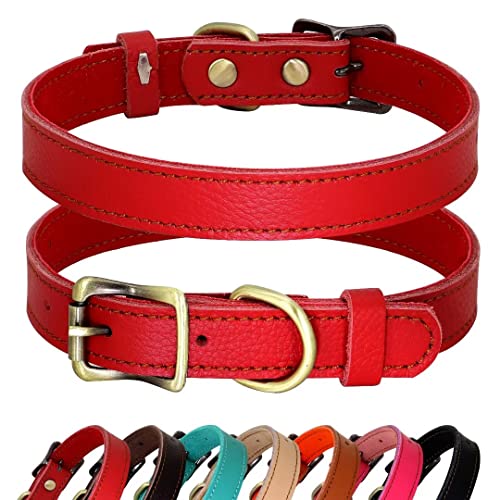 PET ARTIST Genuine Leather Dog Collar, Lightweight & Soft Padded Leather Collar, 7 Beautiful Color for Choices,Dog Collar for Puppy&Small Dog,Red,M