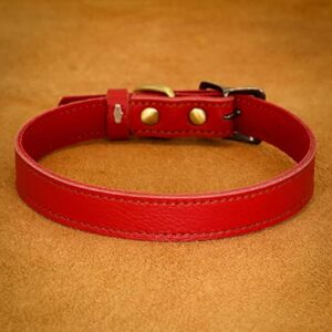 PET ARTIST Genuine Leather Dog Collar, Lightweight & Soft Padded Leather Collar, 7 Beautiful Color for Choices,Dog Collar for Puppy&Small Dog,Red,M