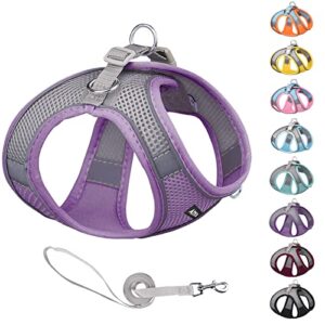 aiitle pet supply no pull, step in adjustable dog harness with padded vest for all weather, easy to put on small and medium dogs purple s