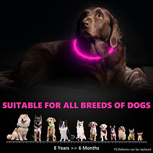 Light Up Dog Collars, Led Dog Collar for Pet Safety in Dark, Waterproof Rechargeable Dog Collar Light, Adjustable Size fit Most Dog, 3 Light Modes Dog Lights for Night Walking & Camping