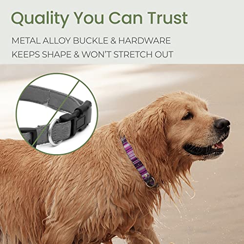 Rubyloo Waterproof Dog Collar | 100% Waterproof, Stink Proof, Odor Proof, Fade Proof, Dirt Proof | Easy to Clean, Soft & Flexible Yet Durable | Rust & Corrosion Resistant Zinc Alloy Buckle | Pink-M