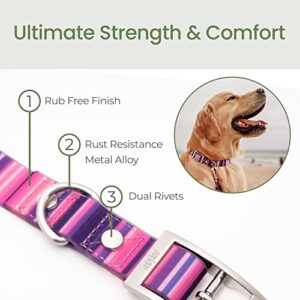 Rubyloo Waterproof Dog Collar | 100% Waterproof, Stink Proof, Odor Proof, Fade Proof, Dirt Proof | Easy to Clean, Soft & Flexible Yet Durable | Rust & Corrosion Resistant Zinc Alloy Buckle | Pink-M