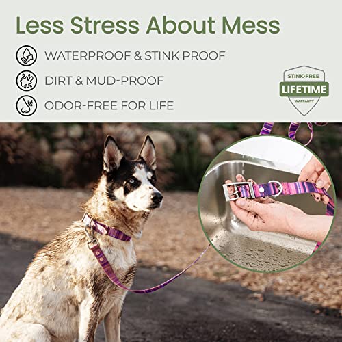 Rubyloo Waterproof Dog Collar | 100% Waterproof, Stink Proof, Odor Proof, Fade Proof, Dirt Proof | Easy to Clean, Soft & Flexible Yet Durable | Rust & Corrosion Resistant Zinc Alloy Buckle | Pink-M