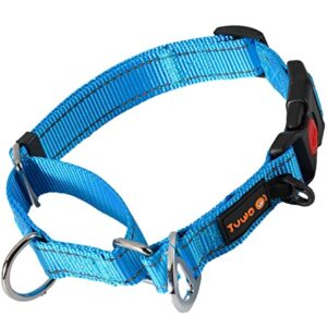 JuWow Nylon Martingale Collar, Adjustable Pet Slip Collar with Breakaway Buckle for Medium Large Dogs, Reflective Stitching Collar for Safe Training Walking (Large:17-22" * 1", Blue)