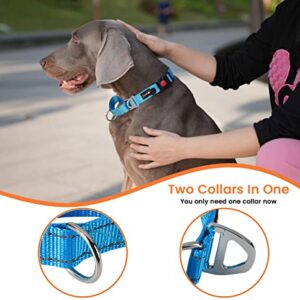 JuWow Nylon Martingale Collar, Adjustable Pet Slip Collar with Breakaway Buckle for Medium Large Dogs, Reflective Stitching Collar for Safe Training Walking (Large:17-22" * 1", Blue)