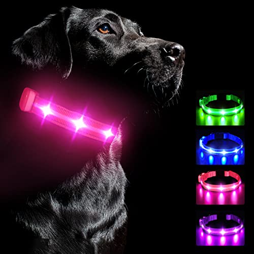 HZK Light Up Dog Collar, LED Glow Collar with USB Rechargeable Lighted Bright, Dog Flashing Collar Waterproof, 4 Colors with 3 Sizes for Small Medium Large Dogs - Pink, L