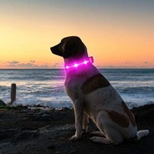 HZK Light Up Dog Collar, LED Glow Collar with USB Rechargeable Lighted Bright, Dog Flashing Collar Waterproof, 4 Colors with 3 Sizes for Small Medium Large Dogs - Pink, L