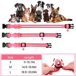 HZK Light Up Dog Collar, LED Glow Collar with USB Rechargeable Lighted Bright, Dog Flashing Collar Waterproof, 4 Colors with 3 Sizes for Small Medium Large Dogs - Pink, L