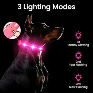 HZK Light Up Dog Collar, LED Glow Collar with USB Rechargeable Lighted Bright, Dog Flashing Collar Waterproof, 4 Colors with 3 Sizes for Small Medium Large Dogs - Pink, L