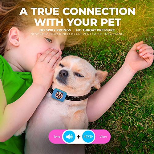 Small Dog Bark Collar Rechargeable – Smallest Bark Collar for Small Dogs 5-15lbs - Most Humane Stop Barking Collar - Dog Training No Shock Anti Bark Collar - Safe Pet Bark Control Device