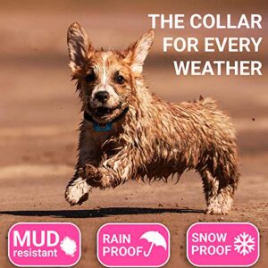 Small Dog Bark Collar Rechargeable – Smallest Bark Collar for Small Dogs 5-15lbs - Most Humane Stop Barking Collar - Dog Training No Shock Anti Bark Collar - Safe Pet Bark Control Device