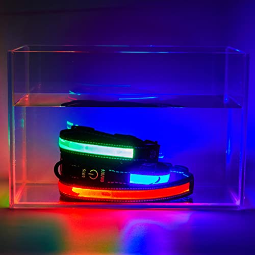 LIFIS LED Dog Collar Light Up IPX7 Waterproof Higher Brightness Glow in The Dark Dog Collars for Large Medium Small Dogs USB Rechargeable Reflective Fiber (M(16.5-20.5''/42-52cm), Red)