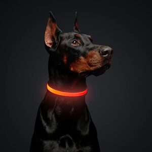 LIFIS LED Dog Collar Light Up IPX7 Waterproof Higher Brightness Glow in The Dark Dog Collars for Large Medium Small Dogs USB Rechargeable Reflective Fiber (M(16.5-20.5''/42-52cm), Red)