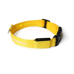 dog collar for small medium large dogs comfy puppy collars adjustable dog collars for girl and boy pet