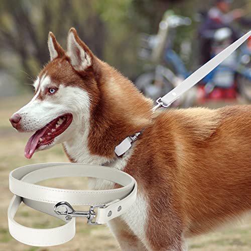 Pet Collars for Dogs Fashion Adjustable Leather Collar Dog Necklace Rope Training Walking for Pets 2023 Collar