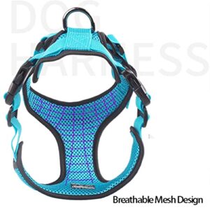 SXNBH Pet Dog Harness Vest Mesh Dog Harness Adjustable Soft Breathable Dog Harness Puppy Collar Cat Pet Dog Harness (Color : D, Size : Small)