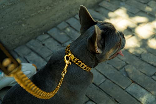 Bully Chainz Hermes Small Gold Cuban Link Metal Dog Chain Collar with Buckle Design - 18K Cuban Link Chain Strong Heavy Duty Chew Proof Stainless Steel 15MM Wide Chain - Puppy Collar for Small Dogs