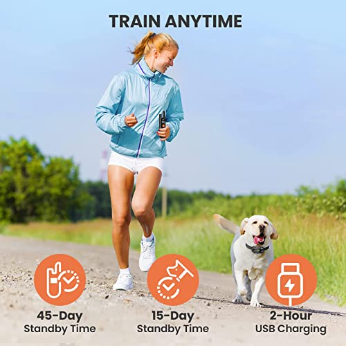 DOG CARE Dog Training Collar with Professional Remote, 2 Receiver Dog Shock Collars with 3 Modes, IP67 Waterproof Electronic Dog E Collar Range 1500FT, Keypad Lock for Small Medium Large Dogs