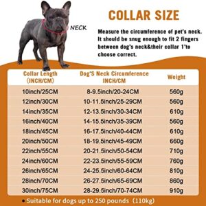 Dog Chain Collars, 32MM Heavy Duty Thick Cuban Link Dog Collar with Safe Buckle Design, Stainless Steel Metal Walking Collars Necklace for Medium Large Dogs