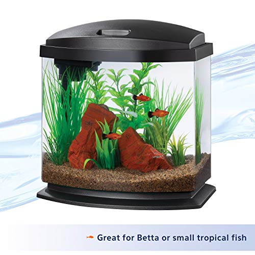 Aqueon LED MiniBow Small Aquarium Fish Tank Kit with SmartClean Technology, Black, 2.5 Gallon