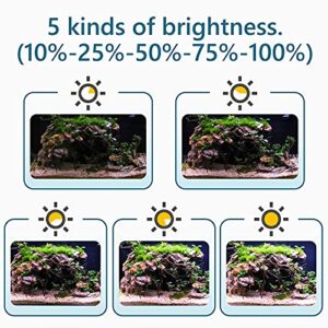 hygger Clip On 24/7 Lighting Aquarium LED Light, 14W Sunrise-Daylight-Moonlight Mode and DIY Mode, Adjustable Timer Adjustable Brightness Fish Tank Light with 7 Colors for Planted Tank