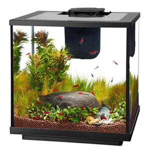 aqueon 00800098: aquarium kit led shrimp tank 7.5g