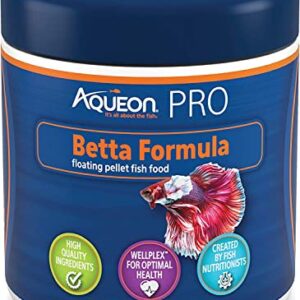 Aqueon Betta Tank Bundle