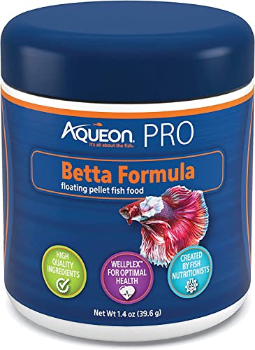 Aqueon Betta Tank Bundle