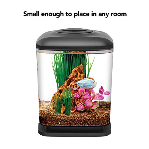 Aqueon Mini Cube Kit Black 1.6 Gallon 1.6 Gallons