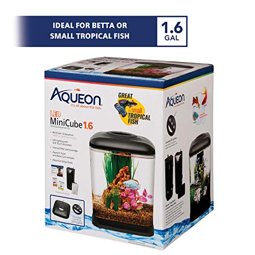 Aqueon Mini Cube Kit Black 1.6 Gallon 1.6 Gallons