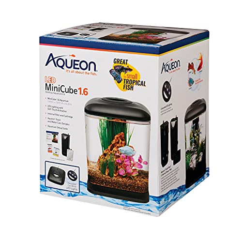 Aqueon Mini Cube Kit Black 1.6 Gallon 1.6 Gallons