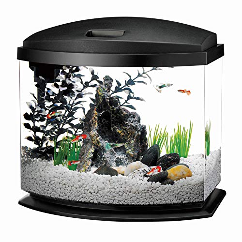 Aqueon LED Minibow Aquarium Starter Kit with LED Lighting, 5 Gallon, Black