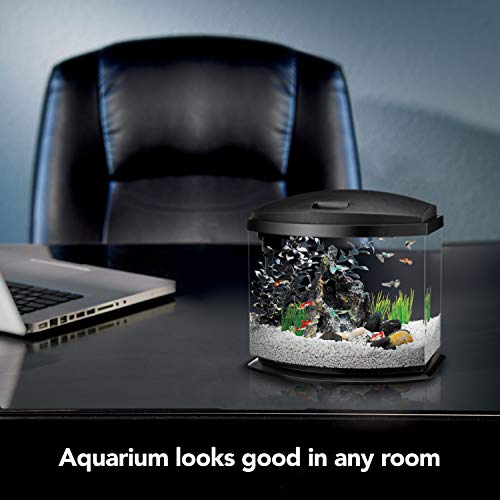 Aqueon LED Minibow Aquarium Starter Kit with LED Lighting, 5 Gallon, Black