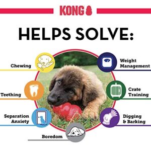 KONG - Classic Dog Toy, Durable Natural Rubber- Fun to Chew, Chase and Fetch - for Medium Dogs