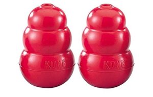 kong 2 pack large classic