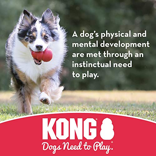 KONG Flyer - Durable Rubber Dog Flying Disc Toy - for Large Dogs