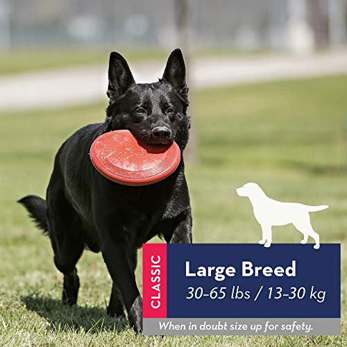 KONG Flyer - Durable Rubber Dog Flying Disc Toy - for Large Dogs