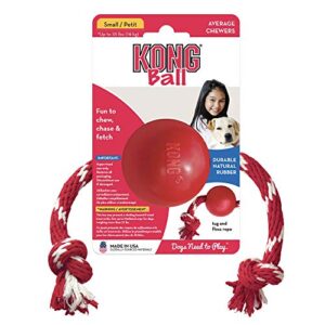 KONG - Ball with Rope - Durable Rubber, Fetch and Chew Toy - for Small Dogs