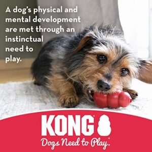 KONG - Goodie Bone - Durable Rubber Chew Bone, Treat Dispensing Dog Toy - for Large Dogs